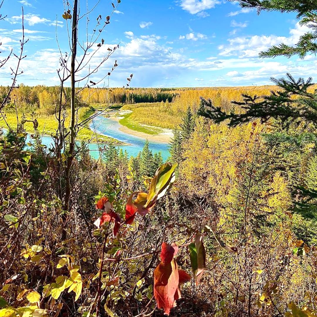 BEST FALL PHOTO SPOTS IN THE LEDUC REGION | Discover Leduc Region