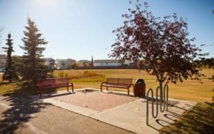 Elks Community Park | Discover Leduc Region