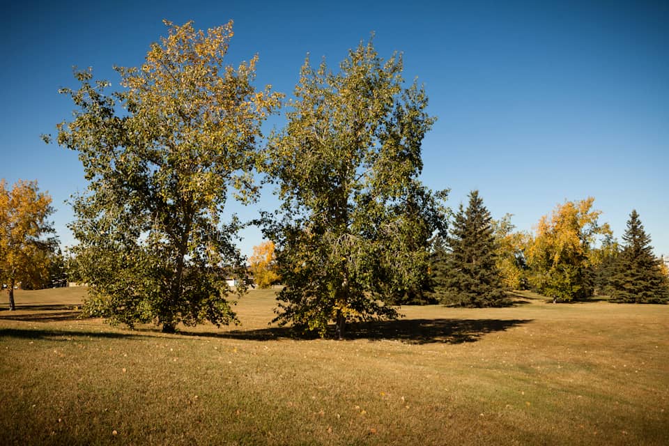 Aileen Faller Park | Discover Leduc Region