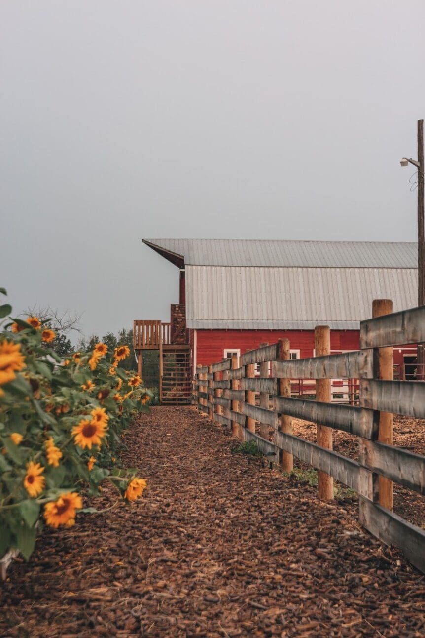 The Old Red Barn | Discover Leduc Region