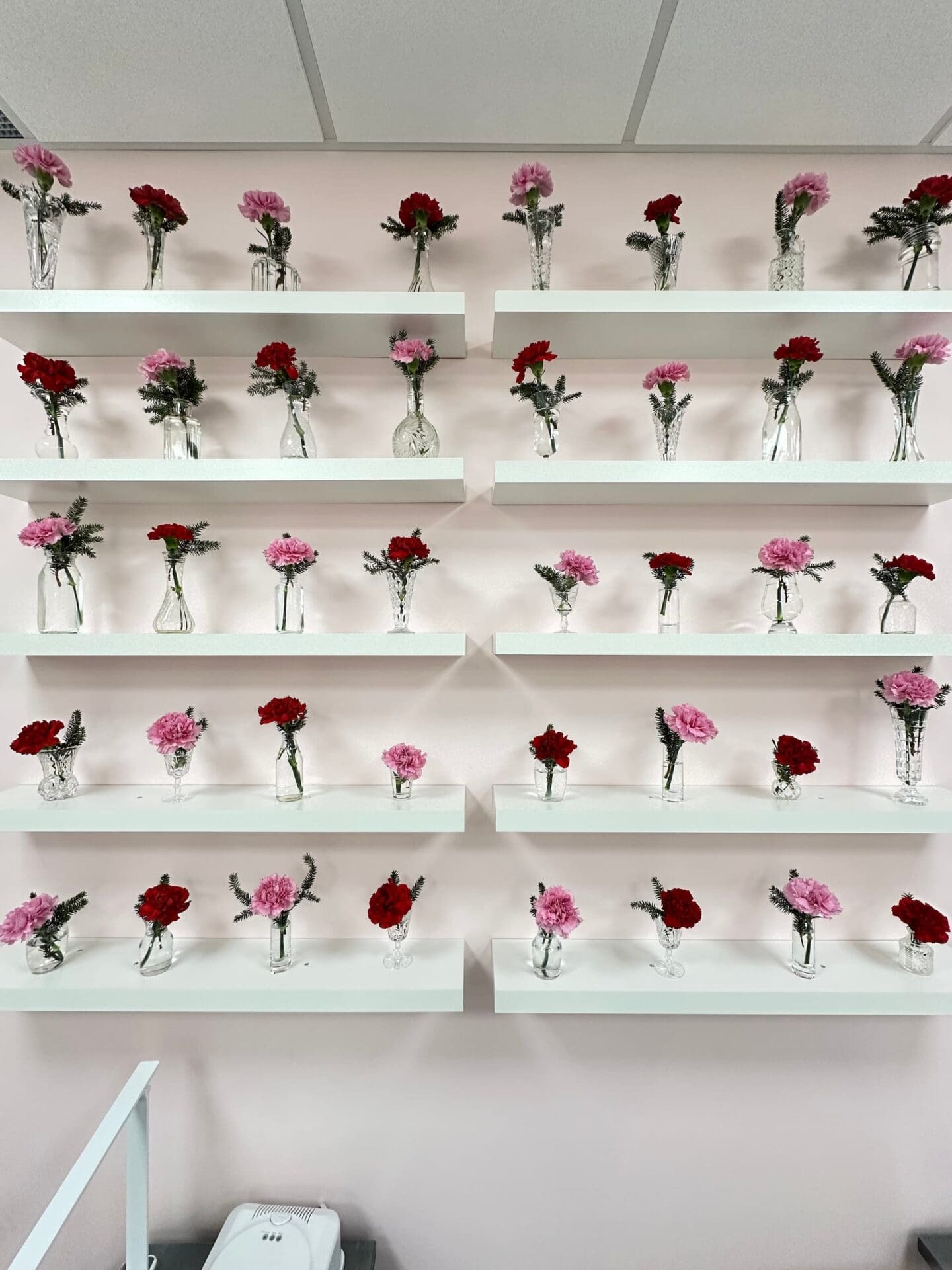 Frilly Lilly | Discover Leduc Region